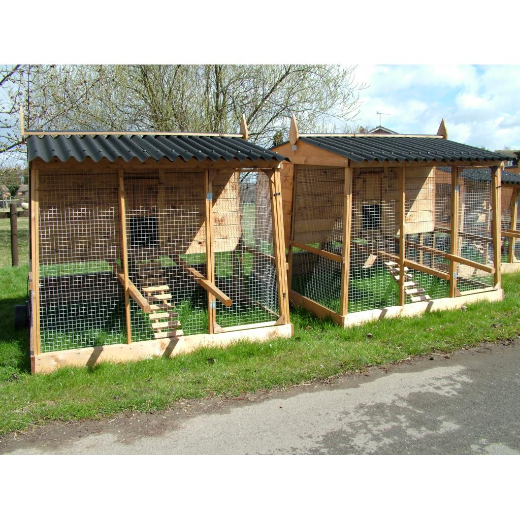 Penthouse Chicken House | Domestic Fowl Trust