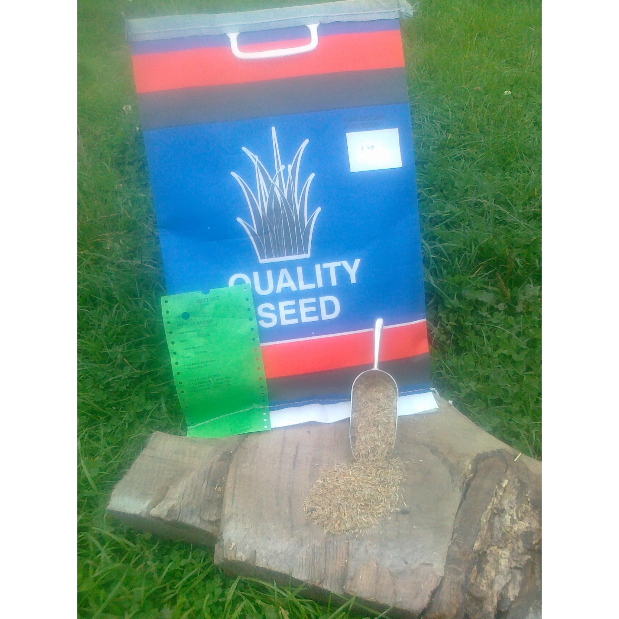 Grass Seed - Chicken Run Mix