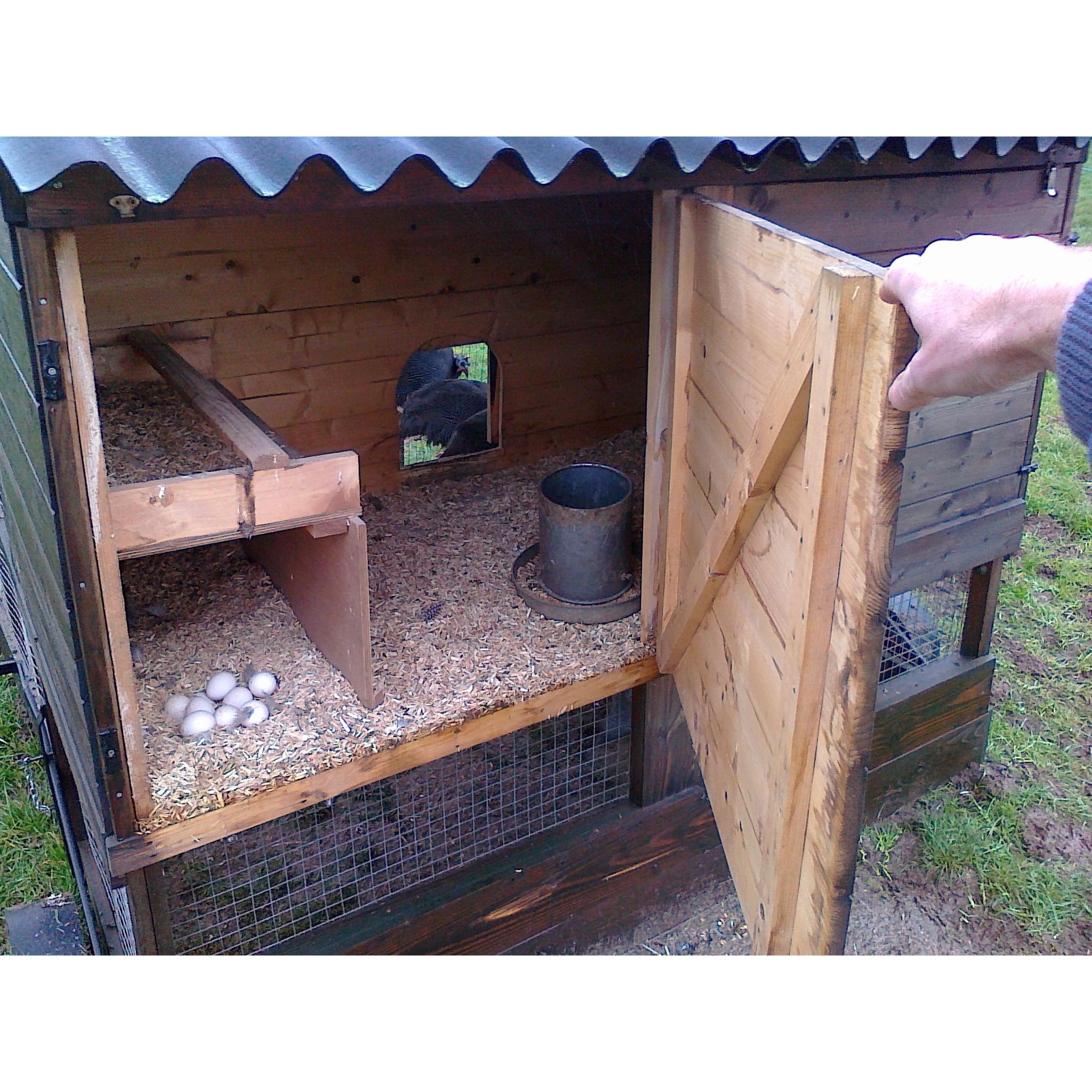 Penthouse Chicken House | Domestic Fowl Trust