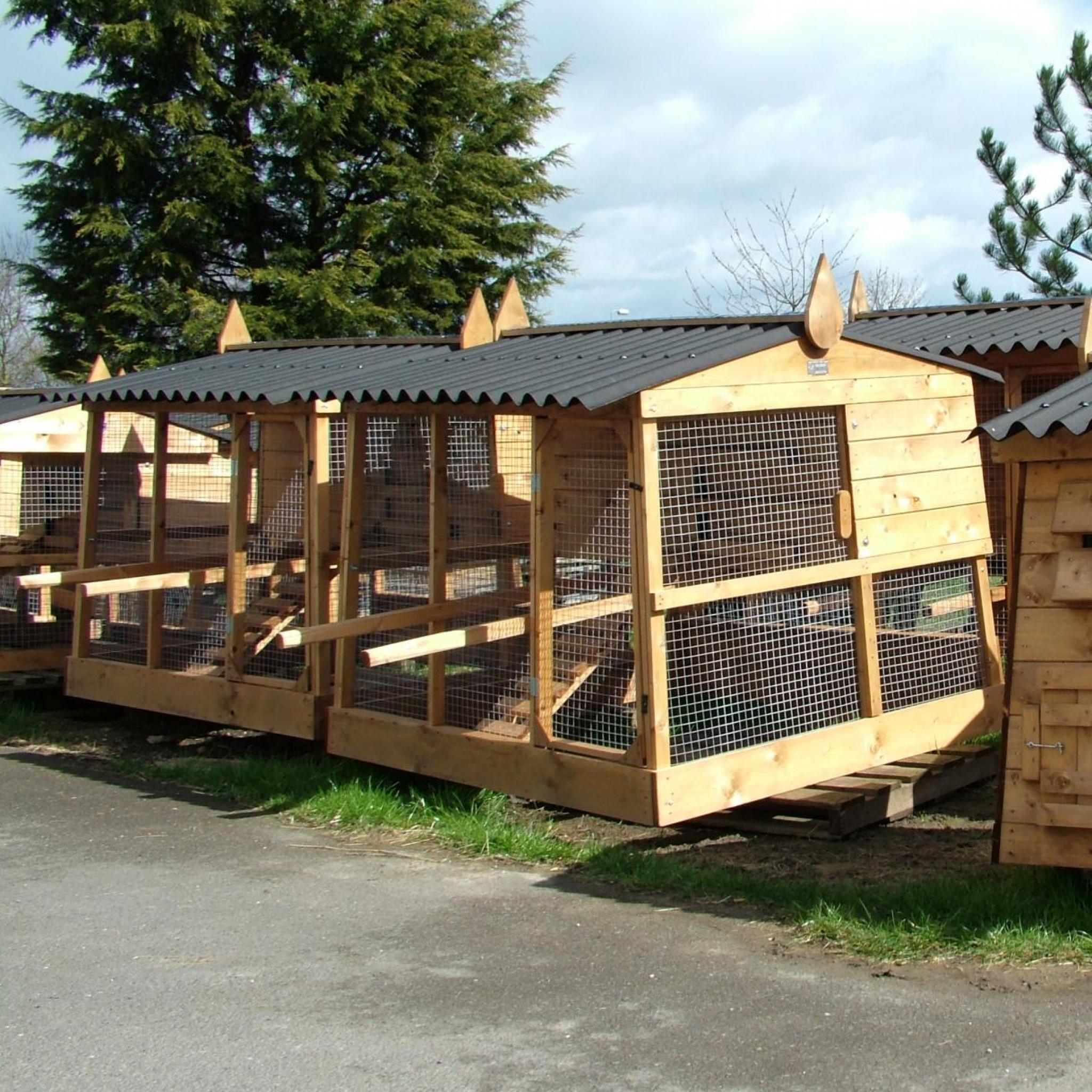 Penthouse Chicken House