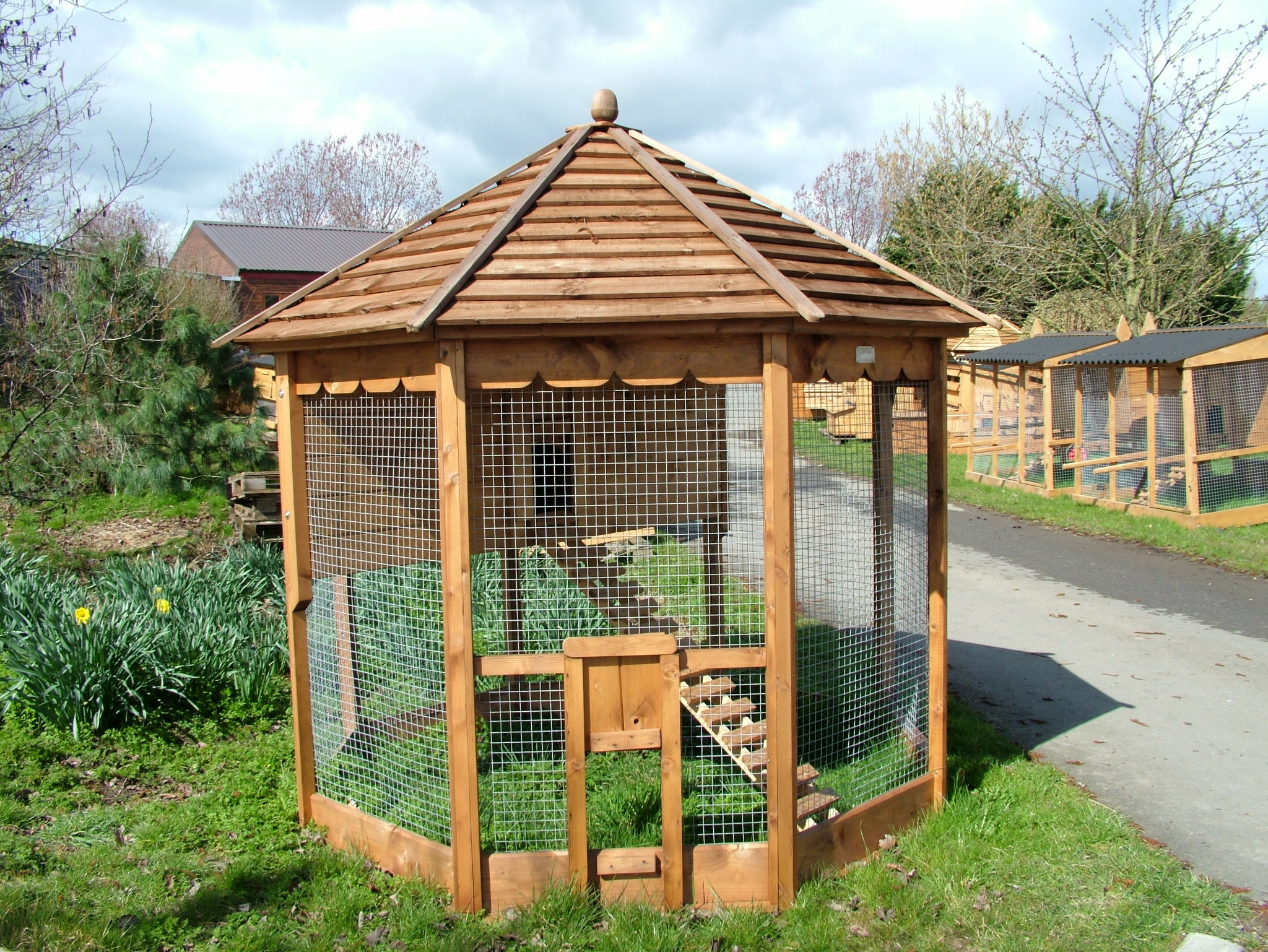 Home [www.domesticfowltrust.co.uk]