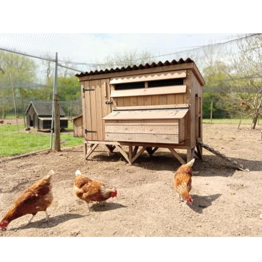 Classic 20 Poultry Housing