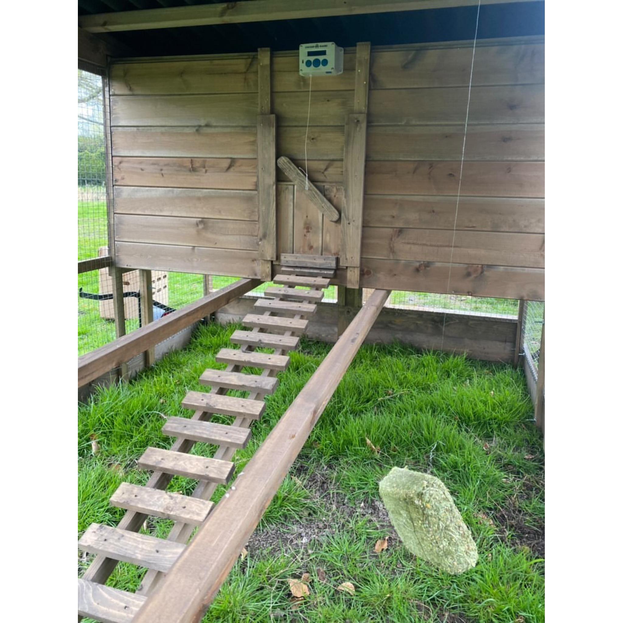 Stretched Penthouse Chicken House