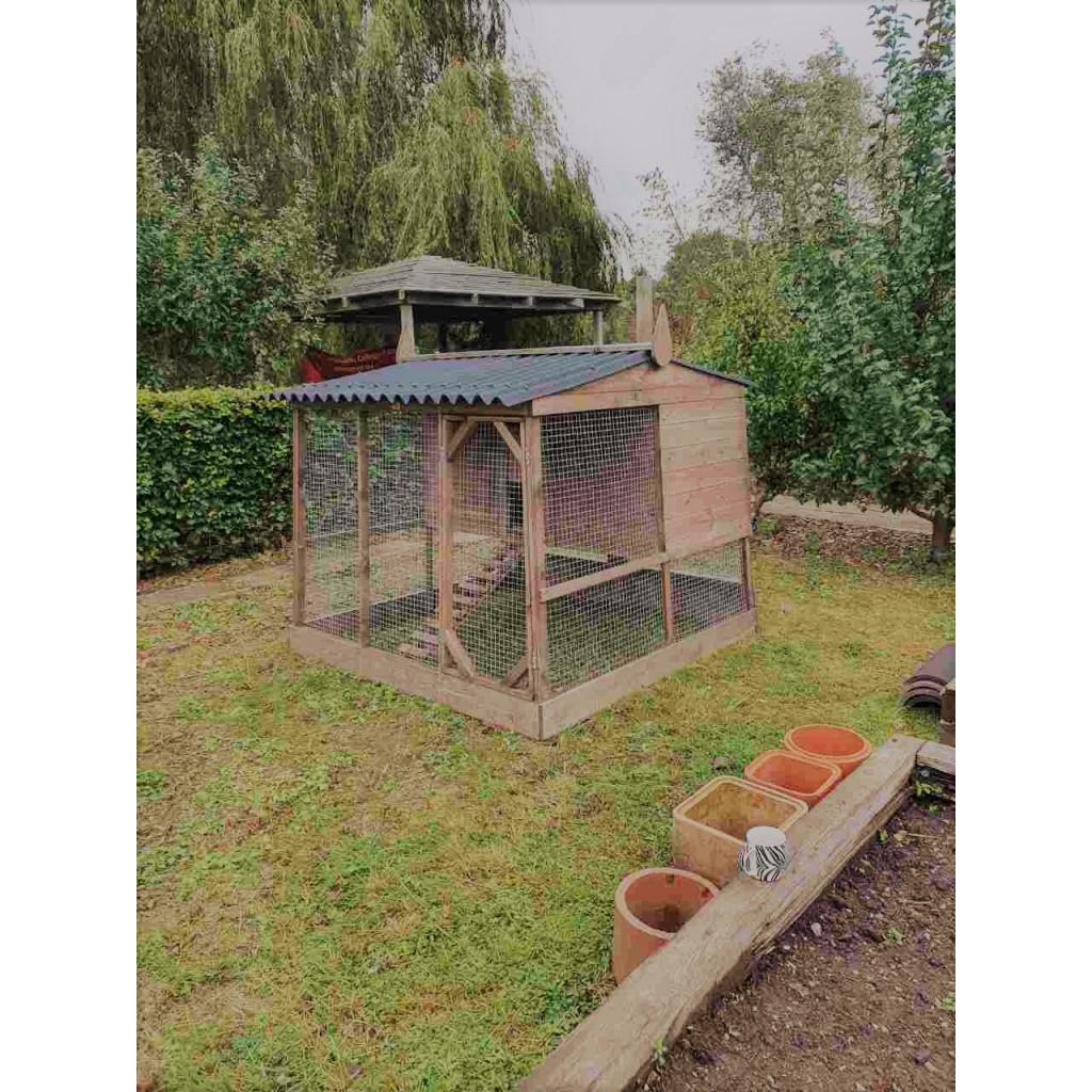 Penthouse Chicken House | Domestic Fowl Trust