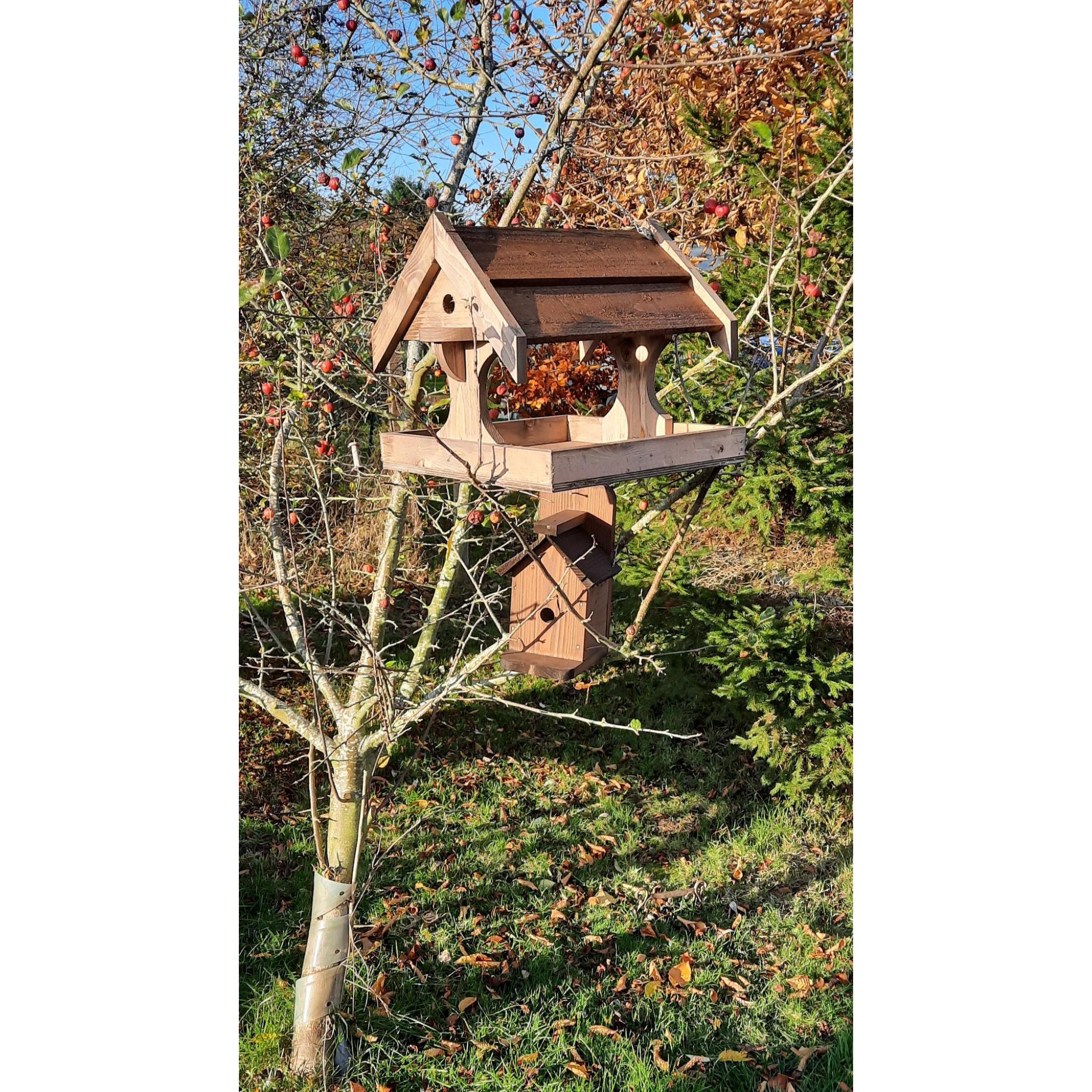 Wild Bird Table and Box Starter Set