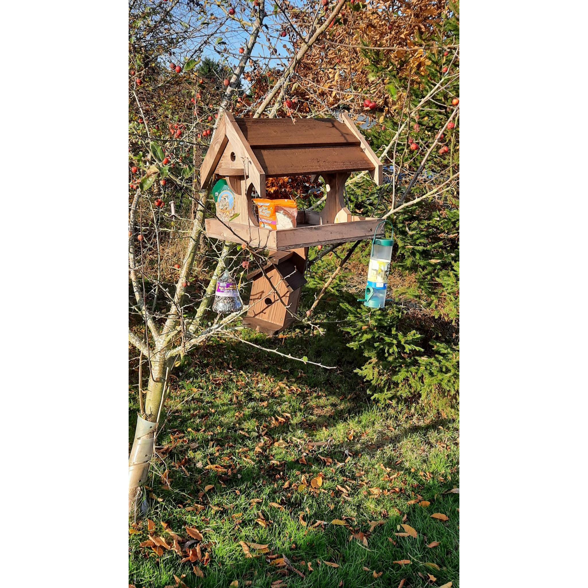 Wild Bird Table and Box Starter Set
