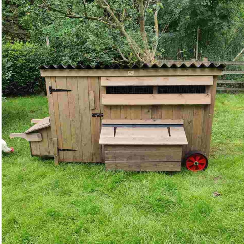 Classic 20 Poultry Housing