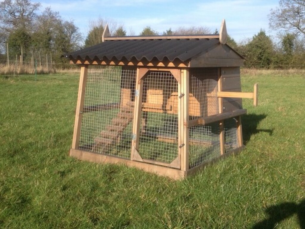 Chicken Coops, Poultry Feed, Treats, Bedding & More | Domestic Fowl Trust